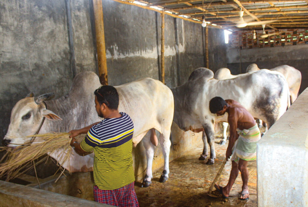 Livestock Development Program through Contract Farming Model – Gram ...